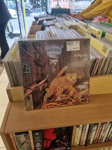 Flashback Records - Record Store | Vinyl World