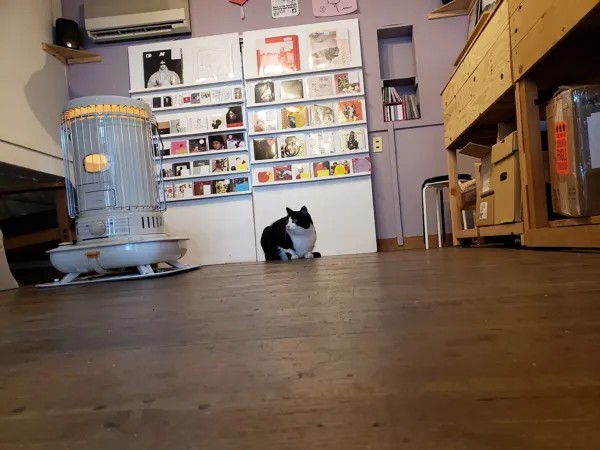 Melody Green - Ueda, Nagano, Japan | Vinyl World